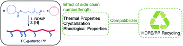 Polyolefin graft copolymers through a ring-opening metathesis grafting through approach ...