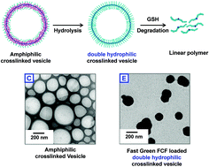 Reduction-responsive double hydrophilic block copolymer nano-capsule synthesized via RCMP-PISA ...