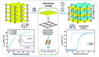 Two urea-functionalized pcu metal–organic frameworks based on a ...