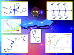 Magneto-structural diversity of Co(ii) compounds with 1-benzylimidazole ...