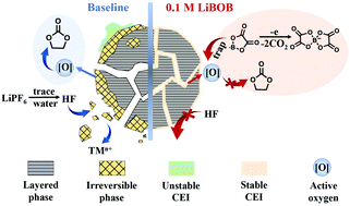 Lithium bis(oxalate)borate additive in the electrolyte to improve Li ...
