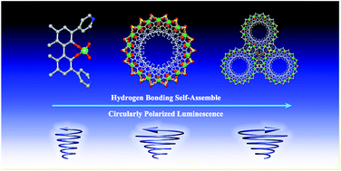 Supramolecular self-assembly of chiral helical tubular polymers with ...
