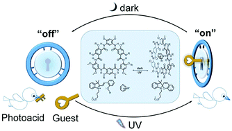 Light-controlled switchable complexation by a non-photoresponsive ...