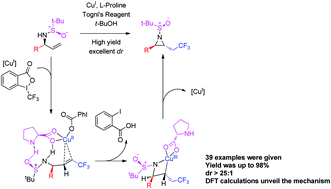 Synthesis of aziridines with multiple chiral substitutions by copper ...
