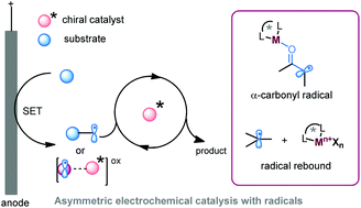Tailoring radicals by asymmetric electrochemical catalysis - Organic ...