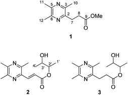 Identification, synthesis and biological evaluation of pyrazine ring ...