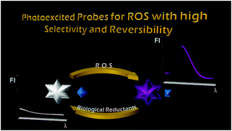 Photoexcited molecular probes for selective and revertible imaging of ...