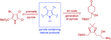 Recent progress in the total synthesis of pyrrole-containing natural ...