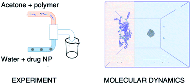 Nanoformulation-by-design: an experimental and molecular dynamics study ...