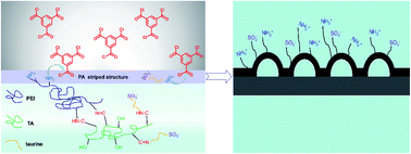 Preparation of a novel zwitterionic striped surface thin-film composite nanofiltration membrane ...