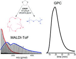 Formation of cyclic structures in the cationic ring-opening ...