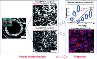 Fabrication of fibrillated and interconnected porous poly(ε ...