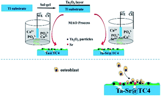 Sol–gel-assisted micro-arc oxidation synthesis and characterization of ...