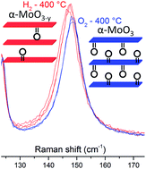 Raman spectroscopy-in situ characterization of reversibly intercalated ...