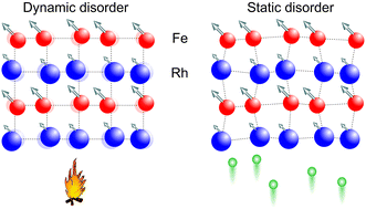 Magnetic response of FeRh to static and dynamic disorder - RSC Advances ...