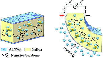 Rapid preparation of a Nafion/Ag NW composite film and its humidity ...