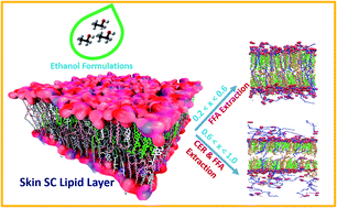 Molecular mechanism of the skin permeation enhancing effect of ethanol ...