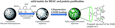 A polycarboxylic chelating ligand for efficient resin purification of ...