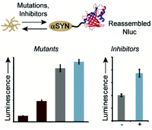A luminescence-based assay for monitoring changes in alpha-synuclein ...