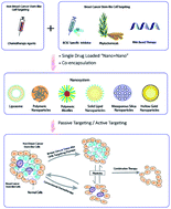 Dual or multiple drug loaded nanoparticles to target breast cancer stem ...