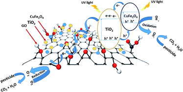 Novel TiO2/GO/CuFe2O4 nanocomposite: a magnetic, reusable and visible ...