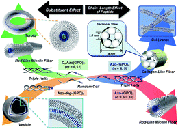 Photo-responsive azobenzene interactions promote hierarchical self ...