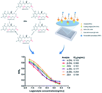 The broad-spectrum and ultra-sensitive detection of zeranol and its ...