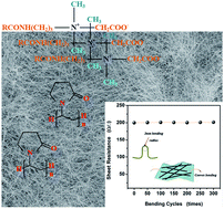 Morphology-controlled silver nanowire synthesis using a cocamidopropyl ...