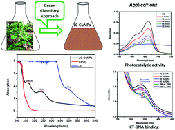 Green synthesis of copper nanoparticles from an extract of Jatropha ...