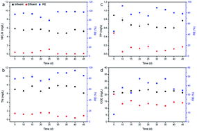 Nutrient removal by Rotala rotundifolia: a superior candidate for ...