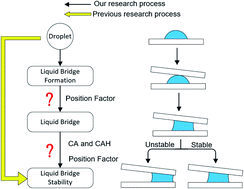 Influence of liquid bridge formation process on its stability in ...