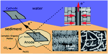 Impact of sediment parameters in the prediction of benthic microbial ...
