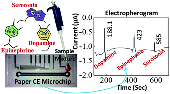 A decoupler-free simple paper microchip capillary electrophoresis ...