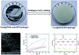 Tough, stretchable and compressive alginate-based hydrogels achieved by ...