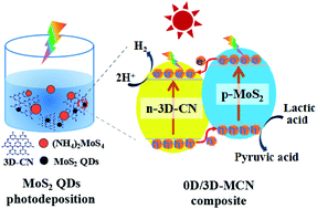 Design of a p–n heterojunction in 0D/3D MoS2/g-C3N4 composite for ...