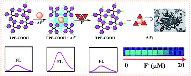 Fluorescence detection of fluorine ions in biological fluids based on ...