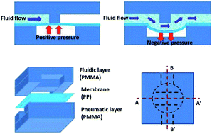 Toward a disposable low-cost LOC device: heterogeneous polymer micro ...