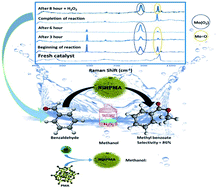 Nickel salt of phosphomolybdic acid as a bi-functional homogeneous ...