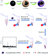 Synthesis of magnetic core–shell Fe3O4@PDA@Cu-MOFs composites for ...