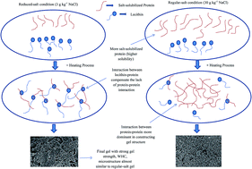 Gel properties of Amur sturgeon (Acipenser schrenckii) surimi improved ...