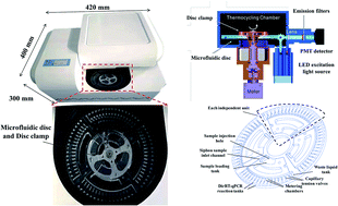 Automated multiplex nucleic acid tests for rapid detection of SARS-CoV ...