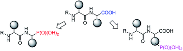 Phosphonopeptides containing free phosphonic groups: recent advances ...