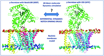 Side-by-side comparison of Notch- and C83 binding to γ-secretase in a ...