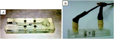 Layer-by-layer modification effects on a nanopore's inner surface of ...