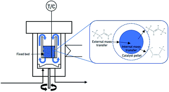 Intrinsic kinetic study of 1-butene isomerization over magnesium oxide ...