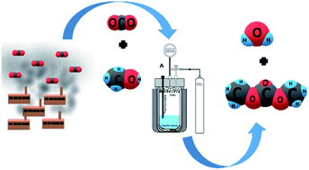 Dehydrating agent effect on the synthesis of dimethyl carbonate (DMC ...