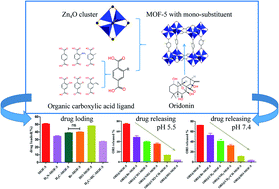 Functionalization of MOF-5 with mono-substituents: effects on drug ...