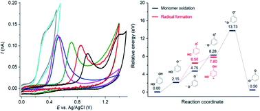 Electrochemical oxidation of resorcinol: mechanistic insights from ...