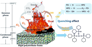 Anti-flammability, mechanical and thermal properties of bio-based rigid ...