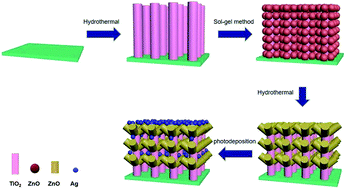 Construction of Ag-modified TiO2/ZnO heterojunction nanotree arrays ...